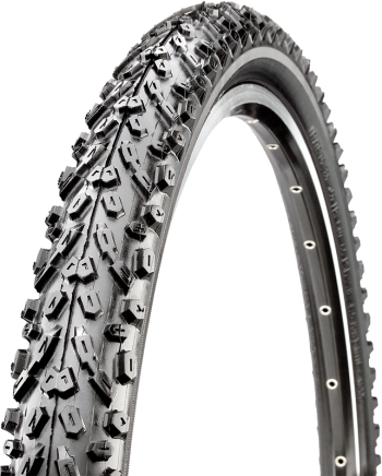 C1446 - International